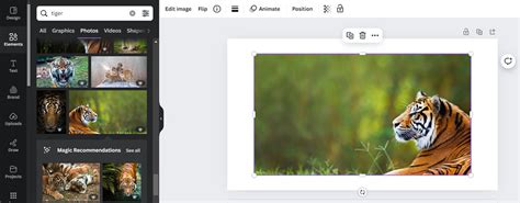 Double Exposure Effect Simple Canva Tutorial Entheosweb