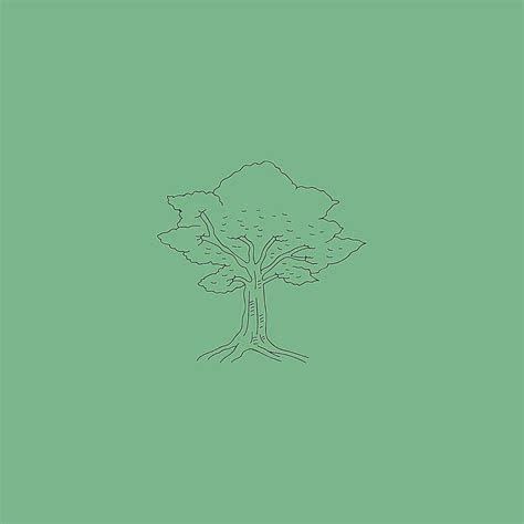 Tree Drawing Aesthetic At Heather Colter Blog