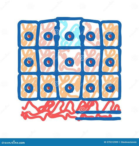 Epithelial Tissue With Goblet Cells Goblet Cell Structure Illustration