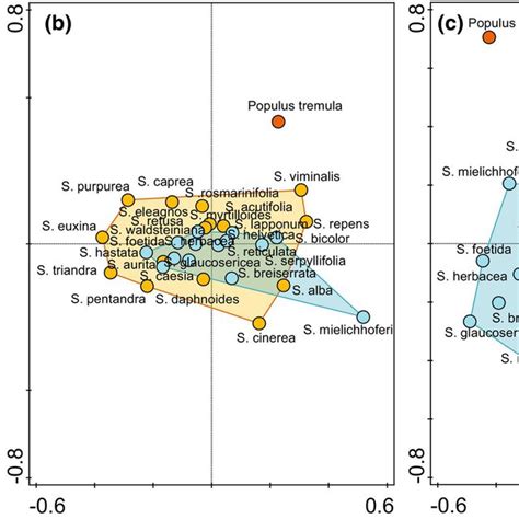 Partial Principal Component Analysis Ppca Diagrams Showing Structural Download Scientific