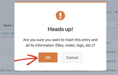 Viewing And Managing Spam Entries