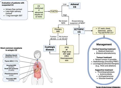 A Clinical Perspective On Ectopic Cushings Syndrome Trends In