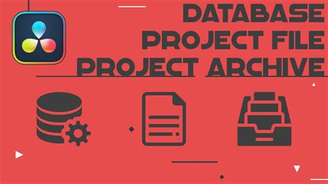 the difference database project file project archive in davinci