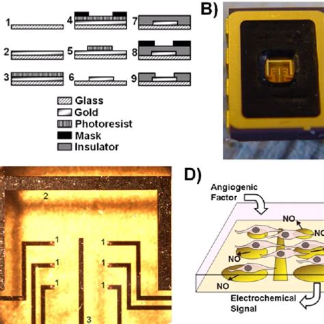 Fabrication And Description Of The Multiple Microelectrode Array 28