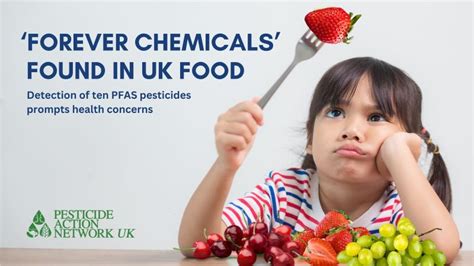 buglife on linkedin buglife news ‘forever chemicals detected in uk food prompting concerns…