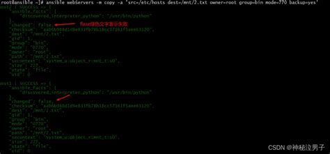 Ansible 中的copy 复制模块应用详解 阿里云开发者社区 Ansible 中的copy 复制模块应用详解 阿里云开发者社区