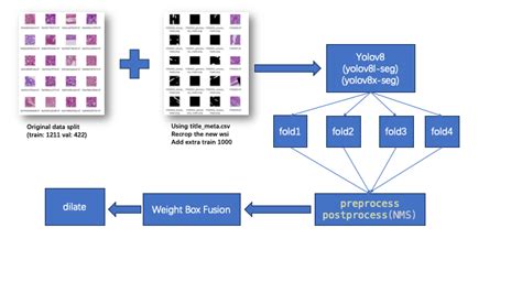 GitHub WPR001 HuBMAP Solution HuBMAP 2023 Silver Medal Solution