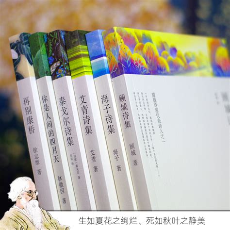 现当代诗歌精选六册正版原著艾青诗选顾城诗集海子的诗集徐志摩全集散文集泰戈尔中国经典现代当代诗歌集赏析书籍朦胧诗派经典 虎窝淘