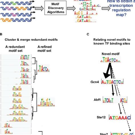 Overview Of The Motif Analysis Pipeline The First Step Of The Pipeline Download Scientific
