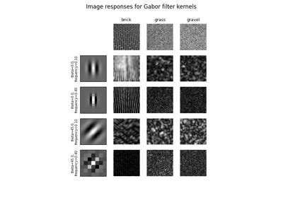 Examples Skimage 0 25 1 Documentation