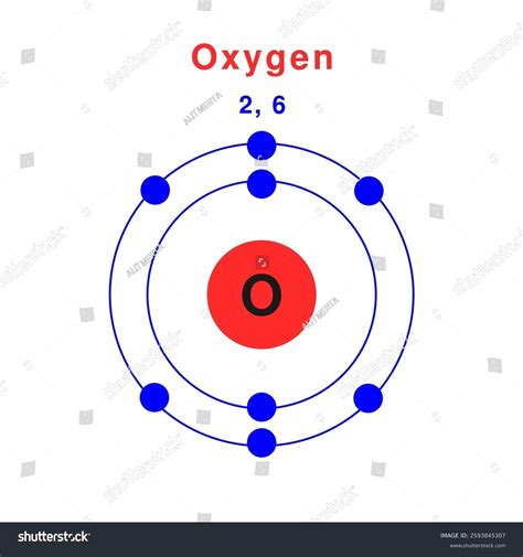 Bohr Model Oxygen Atom Electron Structure Stock Vector Royalty Free 2593845307 Shutterstock