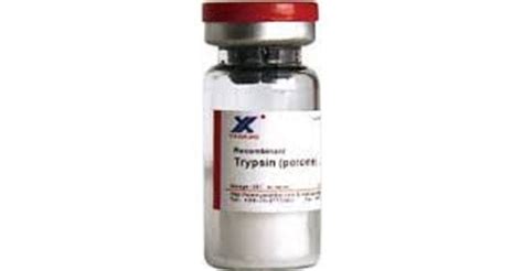 Pfu Dna Polymerase Liquid 99 Purity White Appearance Pcr Enzyme