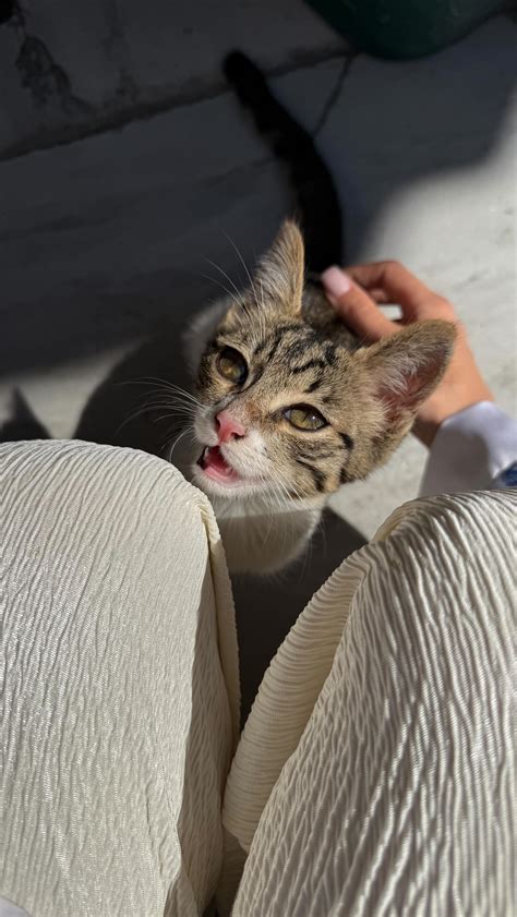 ᴠɪᴋa Influencer без маски 🎭 Life And Beauty Бля це так красіво Instagram