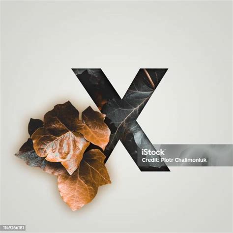 자연 개념입니다 회색 배경에 화려한 나뭇잎과 창조적 인 번호 단풍과 창조적 인 타이포 그래피 프레젠테이션 서식 파일의 장입니다 10 개 숫자 10 로마 숫자와 달력입니다