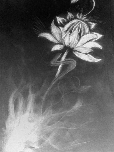 Kvitko By Fekki On Deviantart