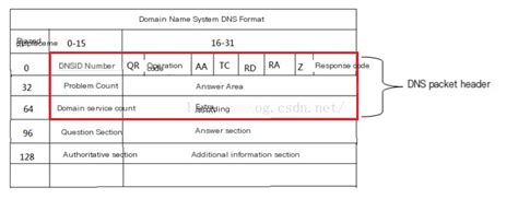Understanding Dns Message Format Key Sections Functions And Packet Analysis Ax3soft