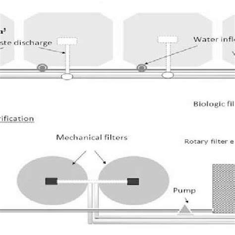 Pdf Monitoring The Water Quality In The Aquaculture Recirculating Systems