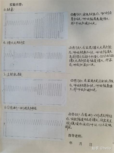 生理学（机能实验1）实验报告 知乎