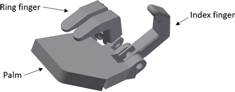The Intermediate Assembly Of The Components Excluding The Thumb Download Scientific Diagram