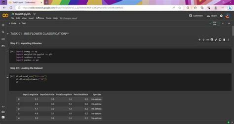 Riswan Pk On Linkedin Connections Datascience Internship Oasisinfobyte