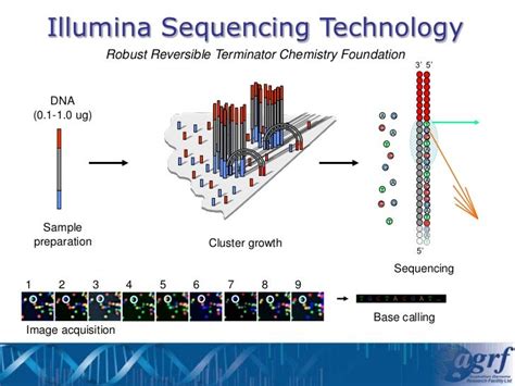 Ngs Technologies Platforms And Applications