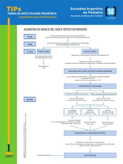 Poster Algoritmo Shock Pdf Sistema Endocrino Medicina