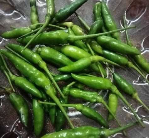 Cabe Rawit Hijau Supplier Murah Jaya 32