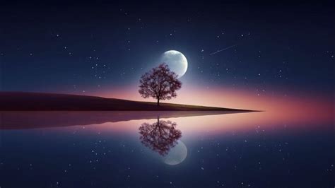 5시간 연속 수면음악 잠 잘때 듣는 힐링 피아노 음악 🎵 스트레스해소음악 차분한 수면유도음악 잔잔한 음악 Sleep Music 잠오는 음악 Youtube