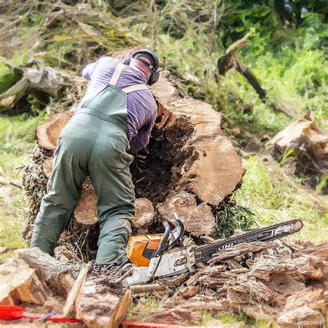Migogaalborg Tester Kom Med På Troldejagt På Egholm