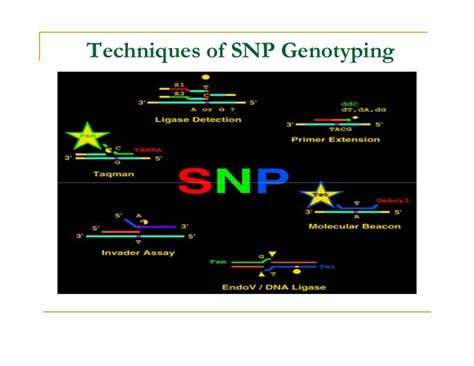 Snp Genotyping Technologies