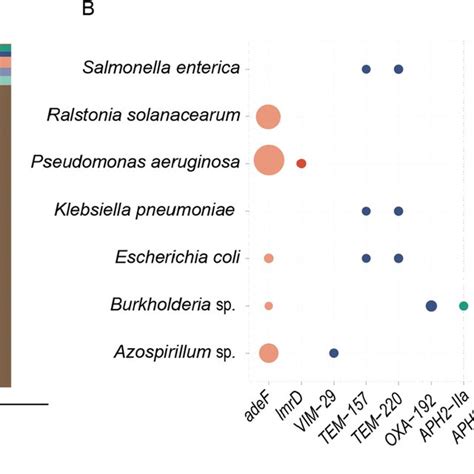 a distribution pattern of the args carrying mobile genetic elements download scientific