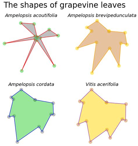 Subplots Plants Python