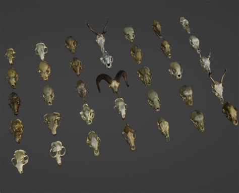 超写实的狸花猫（带动画绑定） Blender布的