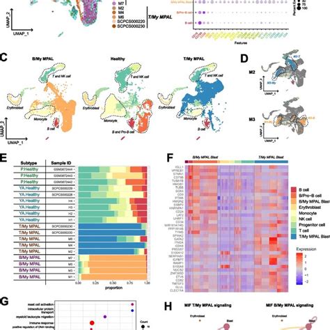 Mapping The Single Cell Landscape Of Early T Cell Precursor Acute Download Scientific Diagram