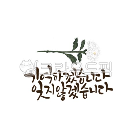국화 삼가 추모 기념 꽃 사진 이미지 일러스트 캘리그라피 Rainbow Pop작가 Home Decor Decals Flowers Home Decor