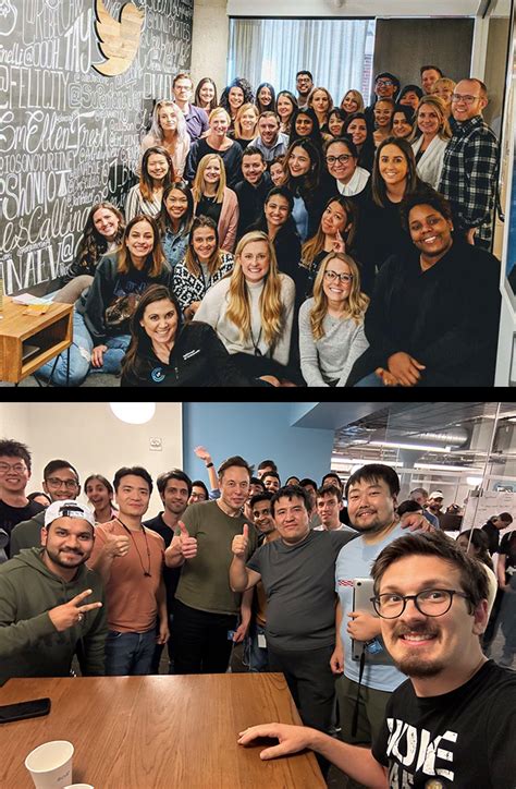 Twitter Before And After Elon Musk Blank Template Imgflip