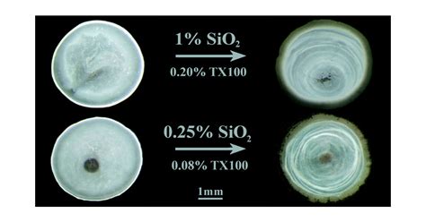 Effect Of Particle Concentration On Surfactant Induced Alteration Of The Contact Line Deposition
