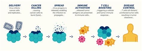 Oncolytic Virus Platforms Vyriad