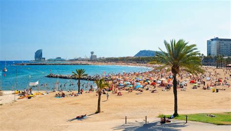 Barcelona In 1 Day Best Way To Tour The City And Travel Tips