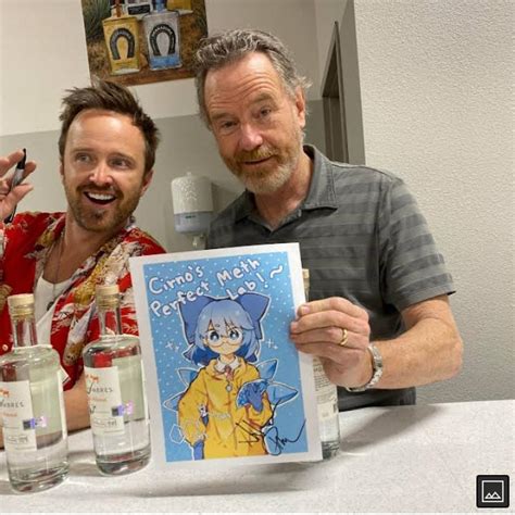 Cirnos Perfect Meth Lab Rtouhou