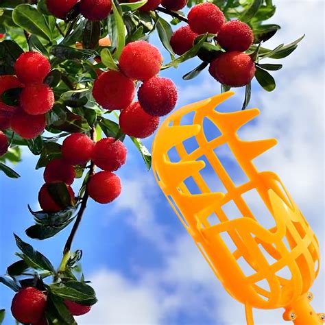 Aruwei Fruit Picker Tool Fruit Harvesting Basket With Teeth Light