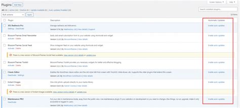 Update Your Wordpress Plugins Safely A Basic Guide