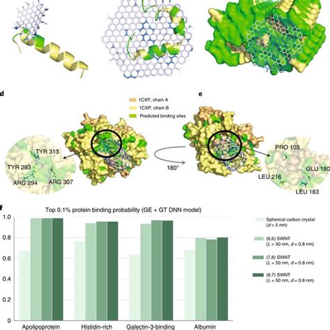 Nicholas Kotov Joseph B And Florence V Cejka Professor Of Engineering Phd University Of