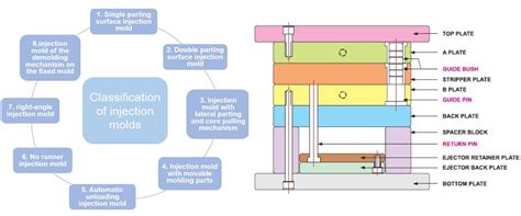 Mold Classification Chart At Sean Swick Blog