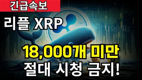 리플 여기까지 갑니다 정답지 확인하세요 Youtube