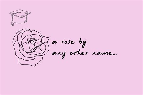 Why I Dont Care For The Dr Title Jamie Pei