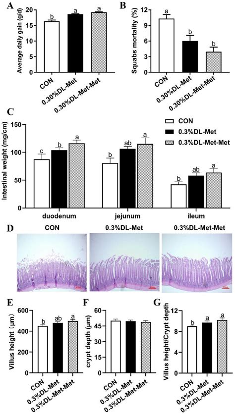 Dl Methionine And Dl Methionyl Dl Methionine Improve Growth Download Scientific Diagram