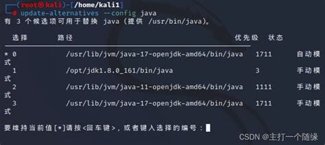 关于kali 无法启动自带的burpsuite的问题kali Burpsuite 打不开 Csdn博客
