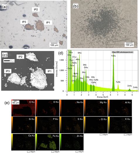 Typical α Emitter Particles A Fe Particles With The Most Detected
