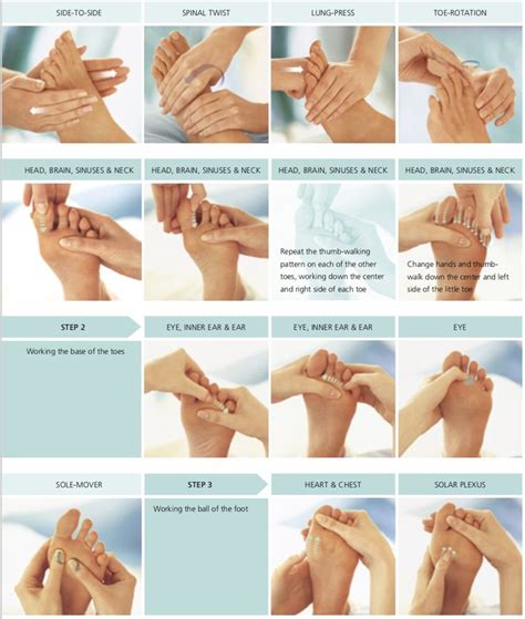 Complete Foot Sequence Reflexology Massage Massage Therapy Foot